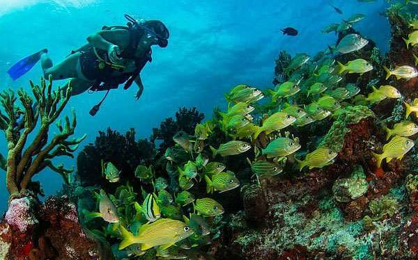 Cancun all inclusive resorts | Vacations from Dallas to Cancun